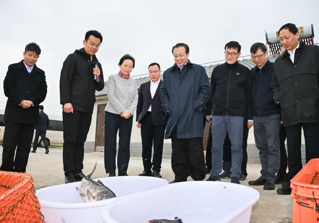 以创新、绿色和开放理念再造域外农场！龚正在江苏盐城调研上海域外农场_上海市规划和自然资源局